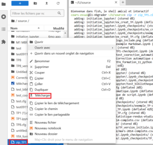 Guide d’utilisation – Plateforme Jupyter